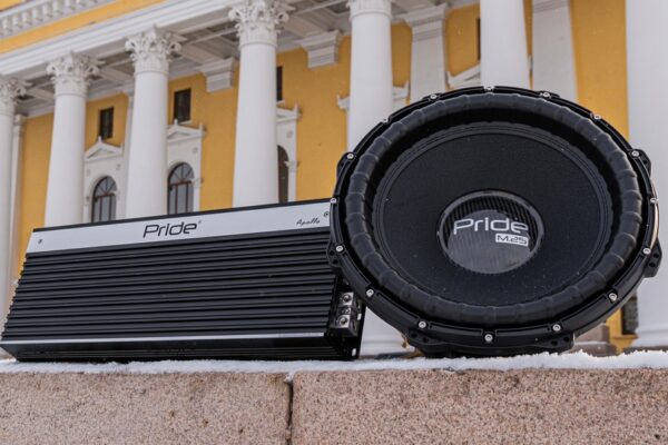 The Role of Subwoofers in Car Audio Systems: Enhancing Bass and Low-End ...