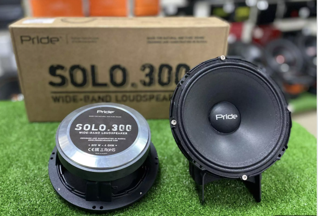 MORE ABOUT PRIDE AUDIO SPEAKERS - Pride Audio. USA Online store